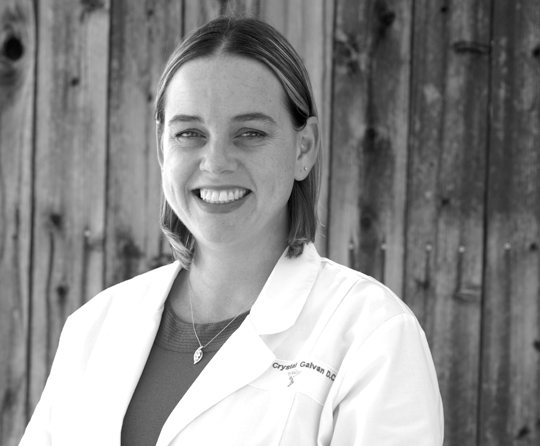 The Working Life: Dr. Crystal Galvan | Homes & Lifestyle | Noozhawk