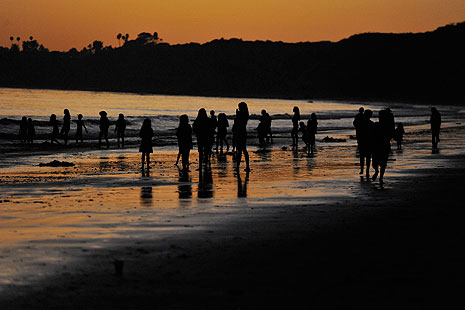 Sunset Dolphin Show at Hope Ranch Beach | Photo of the Day | Noozhawk