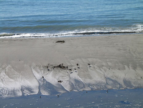 Padaro Beach | Photo of the Day | Noozhawk