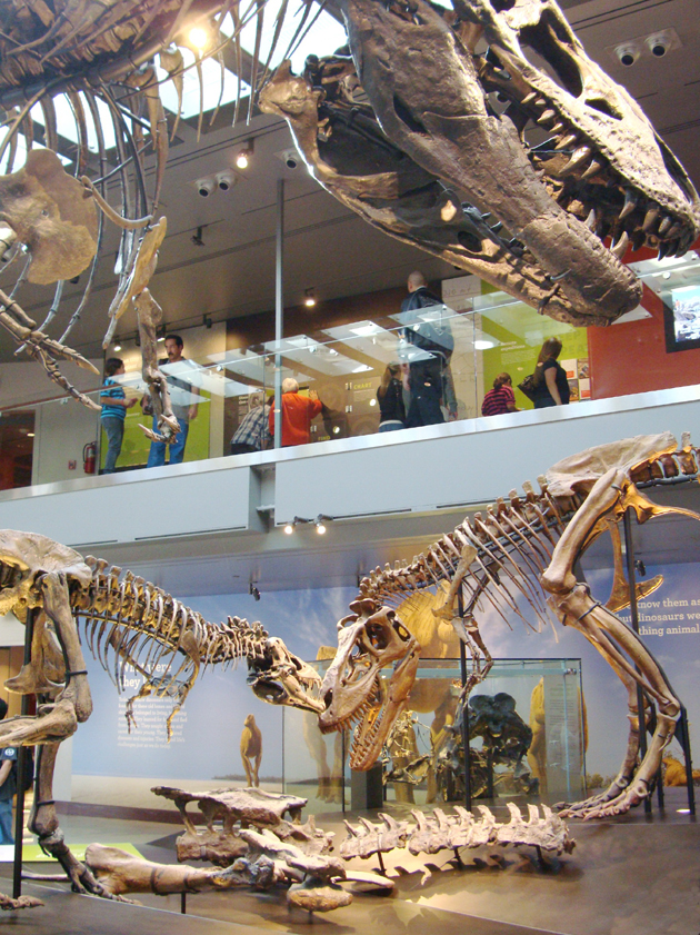 T-Rex Tea Party | Photo of the Day | Noozhawk