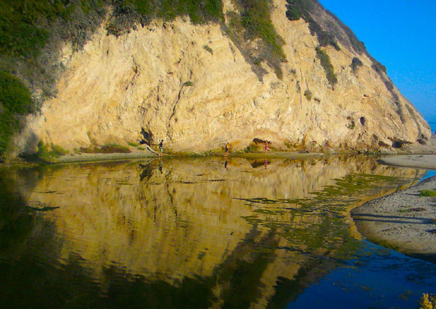Late-Afternoon Frolic | Photo of the Day | Noozhawk
