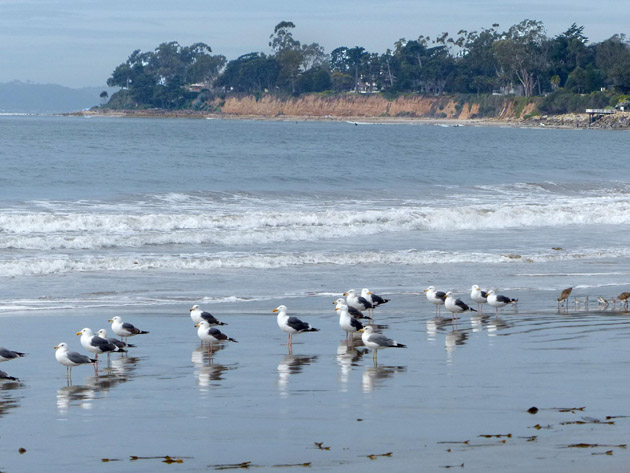 Loon Point Beach | Photo of the Day | Noozhawk