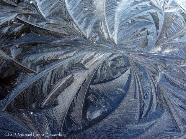 Frost Design | Photo of the Day | Noozhawk