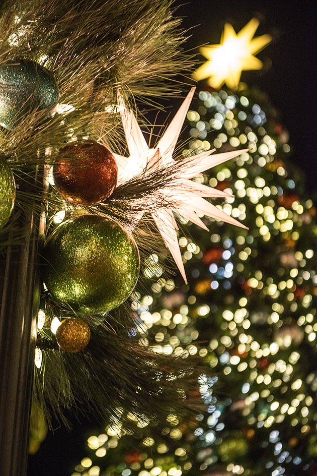 Star Sighting | Photo of the Day | Noozhawk