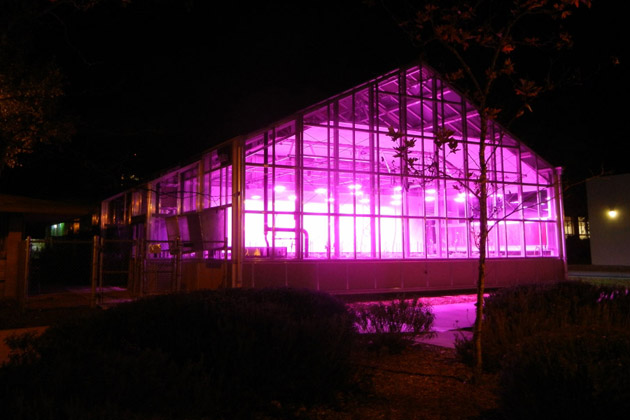 UCSB Scientists Conduct Top-Caliber Botanical Research in Cutting-Edge ...