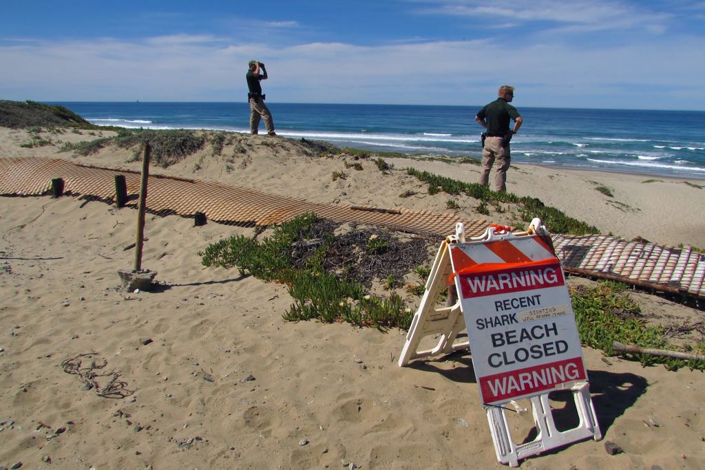 Shark Sighting Leads to Closure of Vandenberg Air Force Base Beaches ...