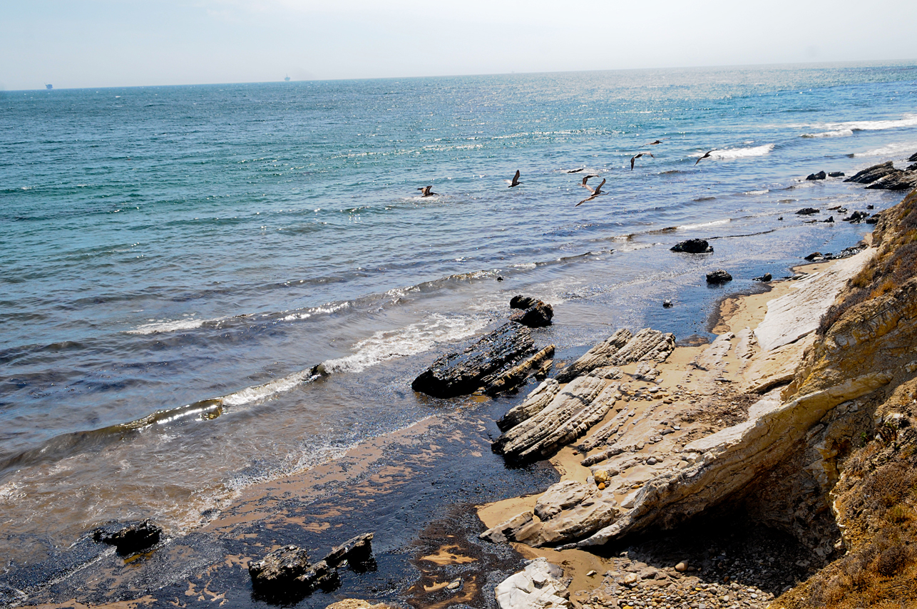 Massive Oil Spill Floods Refugio Beach, Surrounding Coastline | Media ...