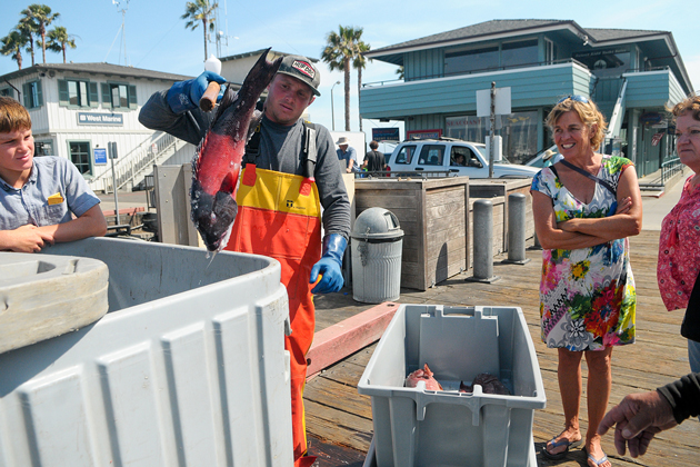 Southern Santa Barbara County Fishery Closures Lifted After Refugio Oil ...