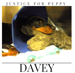 Advocate Chris DeRose, Sen. Jackson to Speak at March of Mourning for ...