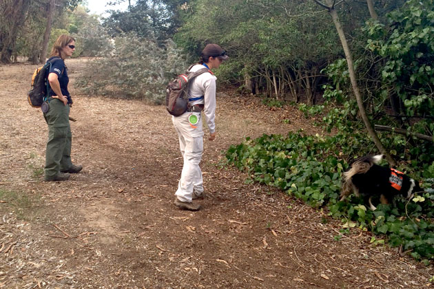 Missing College Student Dianne Thacher Found Safe | Local News | Noozhawk