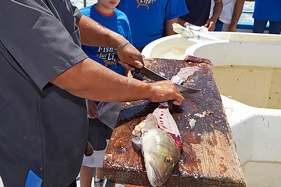 Outdoors Q&A: Best Practices for Disposing of Fish Remains? | Homes ...