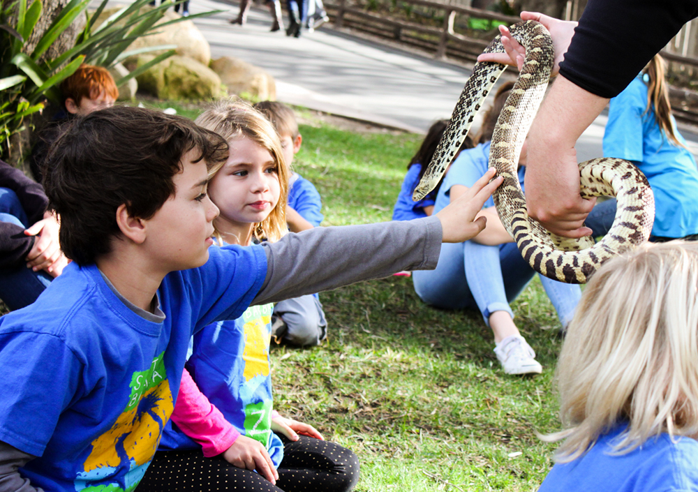 Santa Barbara Zoo’s New Summer Camps Increase Interactions with ...