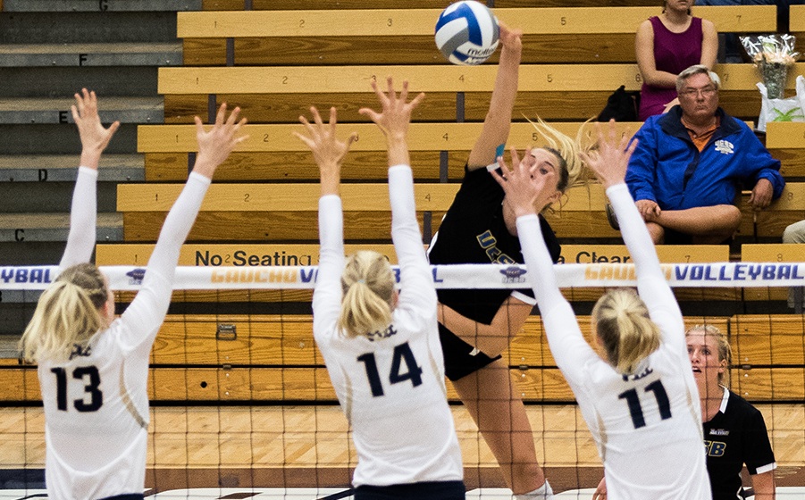 UCSB Volleyball Drops a Four-Set Match Against Pitt | Sports | Noozhawk