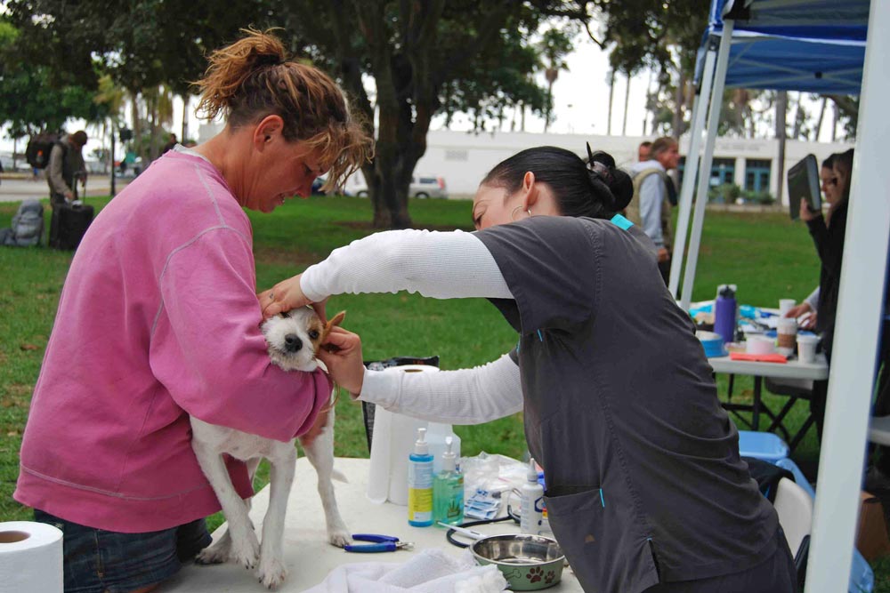 Homeless People’s Four-Legged Friends Get Free Pet Care in Santa ...