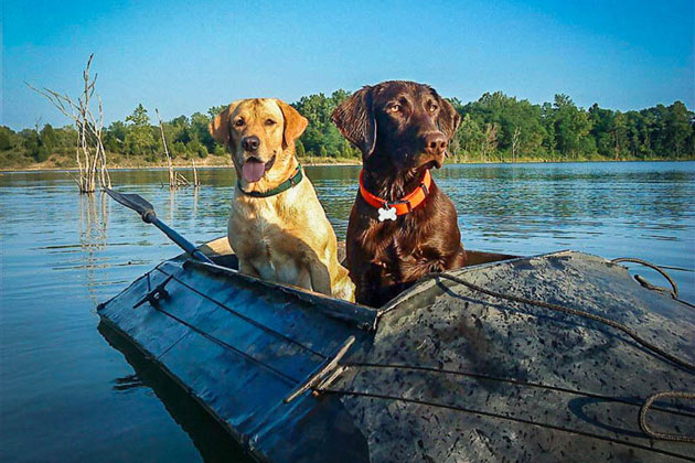Outdoors Q&A: Human-Powered Boats for Duck Hunting? | Outdoors | Noozhawk