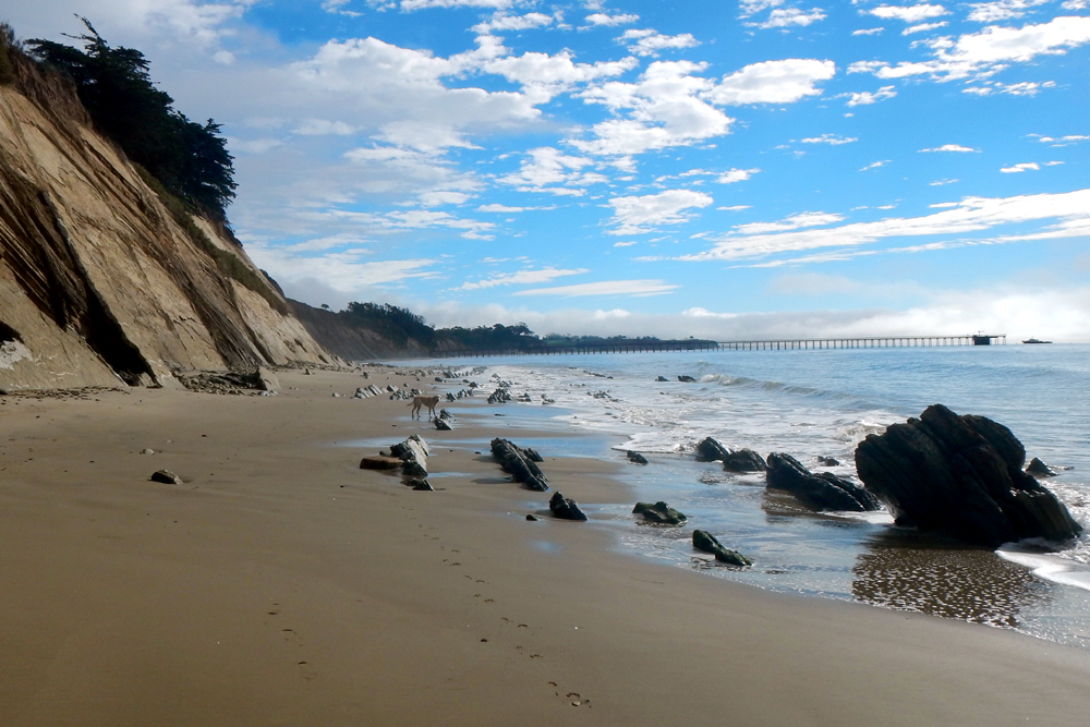 Dan McCaslin: A Low-Tide Hike From Haskell’s Beach West to Naples Point ...