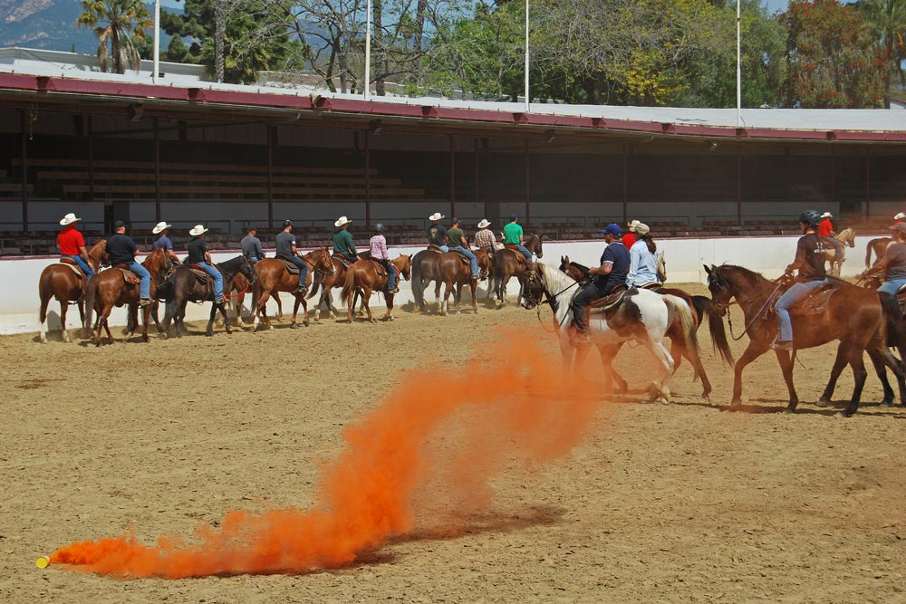 California Mounted Officers Association, County Sheriff’s Riders Train ...