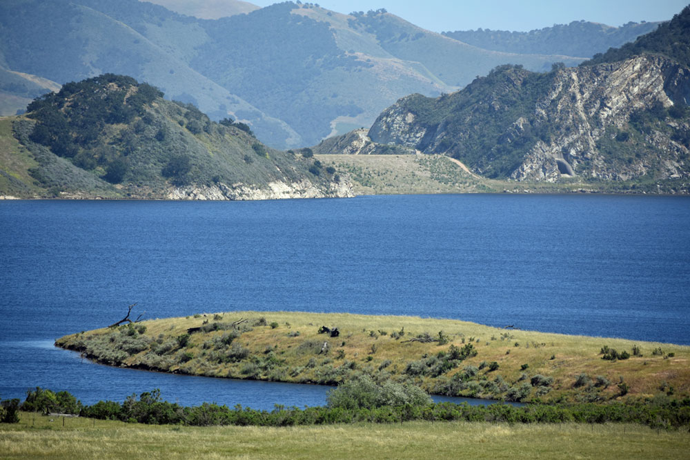 Twitchell Dam Operators Sued Over Water Releases For Steelhead | Local ...