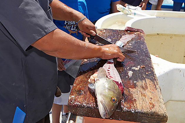 Outdoors Q&A: Fish Carcasses for Bait? | Outdoors | Noozhawk