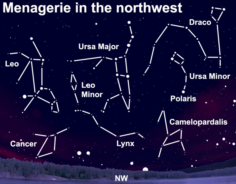 Dennis Mammana: Celestial Menagerie of Constellations Fills Sky This ...