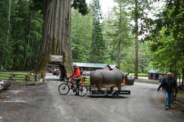 Safari Guide is Biking Down the Entire West Coast With a Life-sized ...