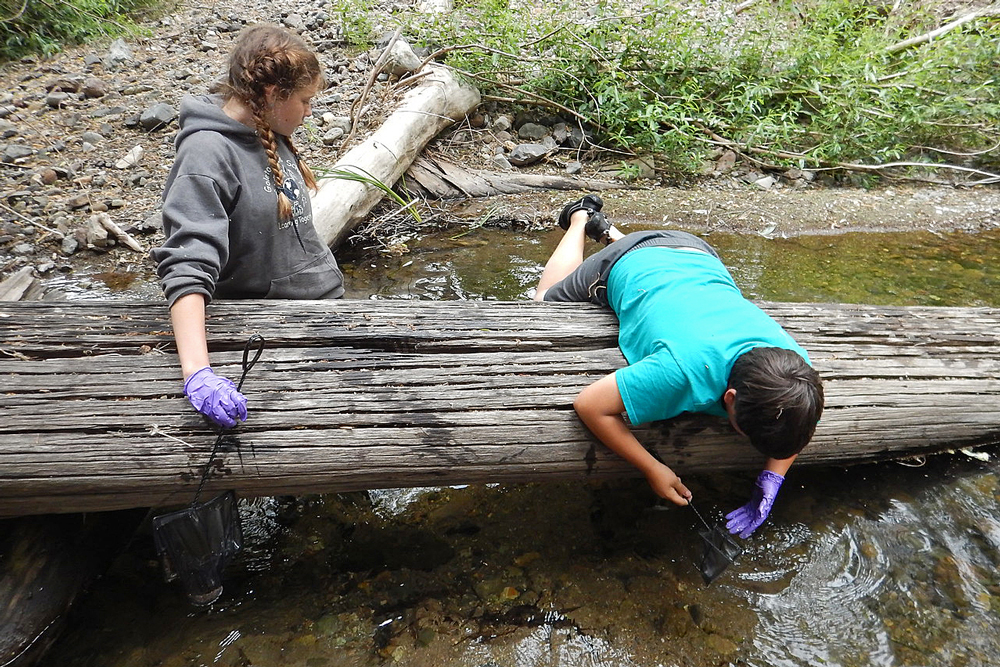 Young Scientists at Goleta Family School Science Camp Experiment on ...