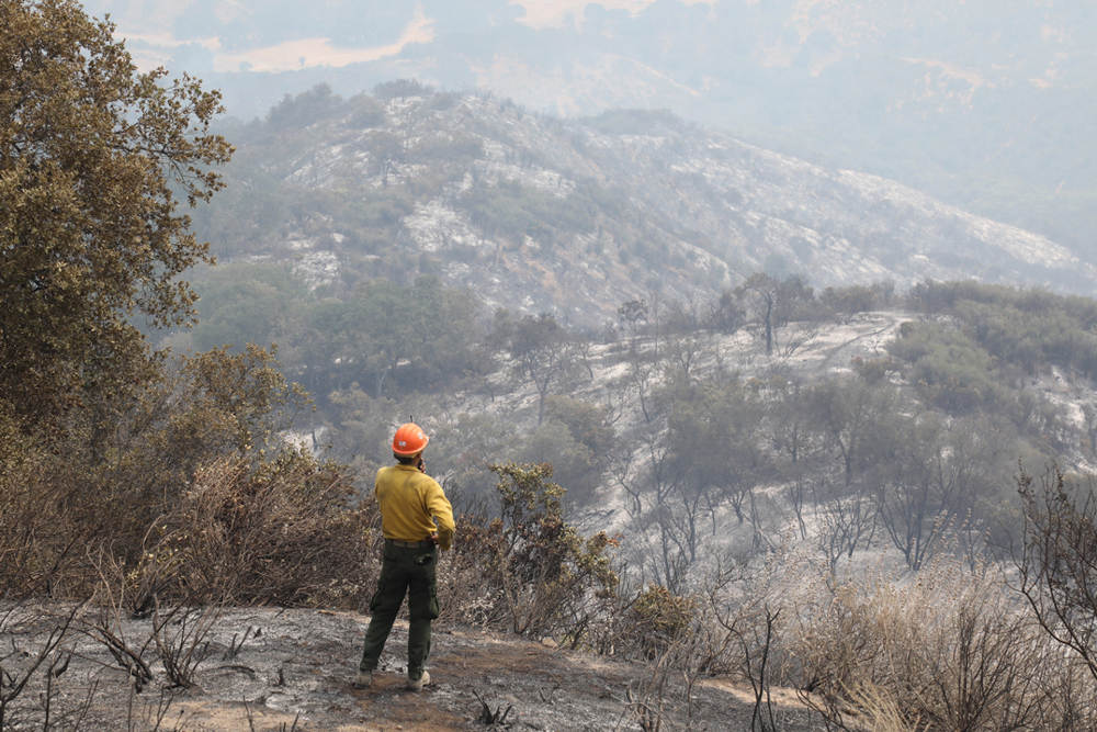 Weather Continues To Cooperate for Crews Fighting Alamo Fire | Local ...