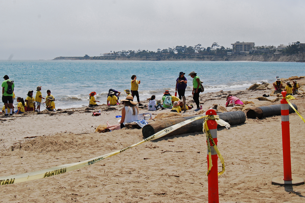 Santa Barbara County Exploring Permit Options to Protect Goleta Beach ...