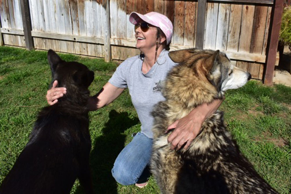 State Fish & Wildlife Department Restricts Animal Rescue Team ...