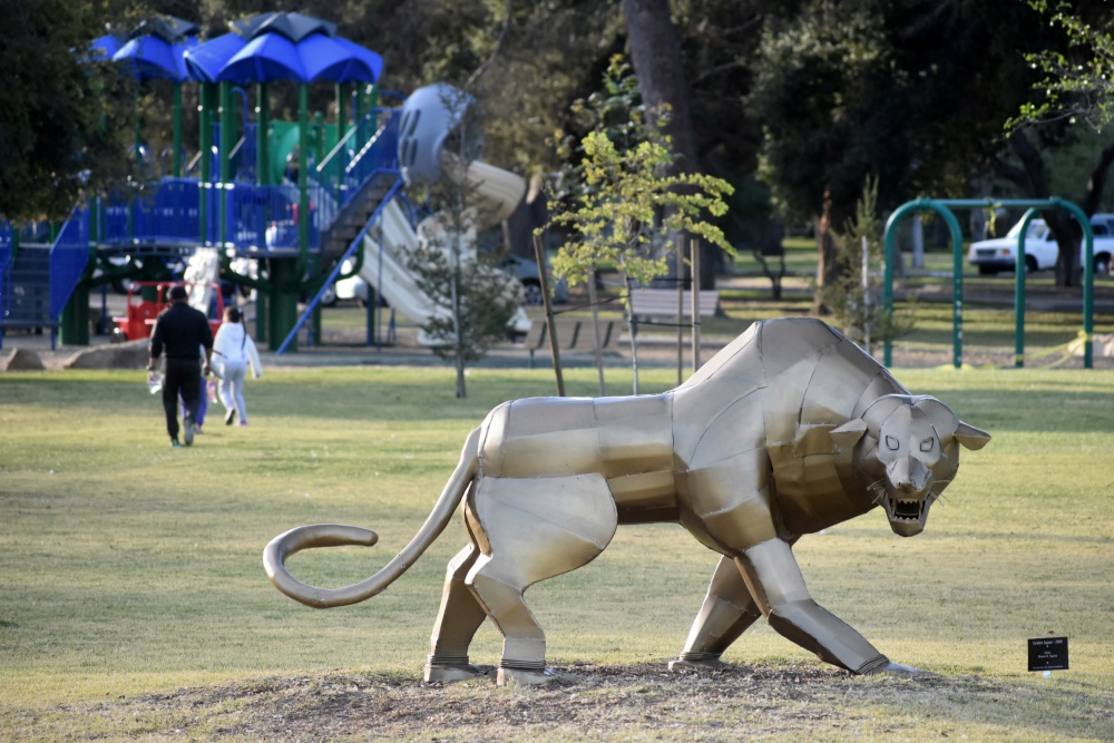 To Delight of Visitors, Creative Critters On the Prowl — or Lounging ...