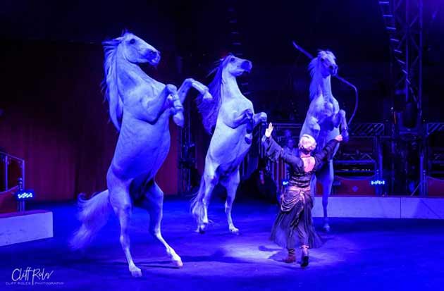 Dancing Horses Show to Benefit Therapeutic Equine Programs | Arts ...