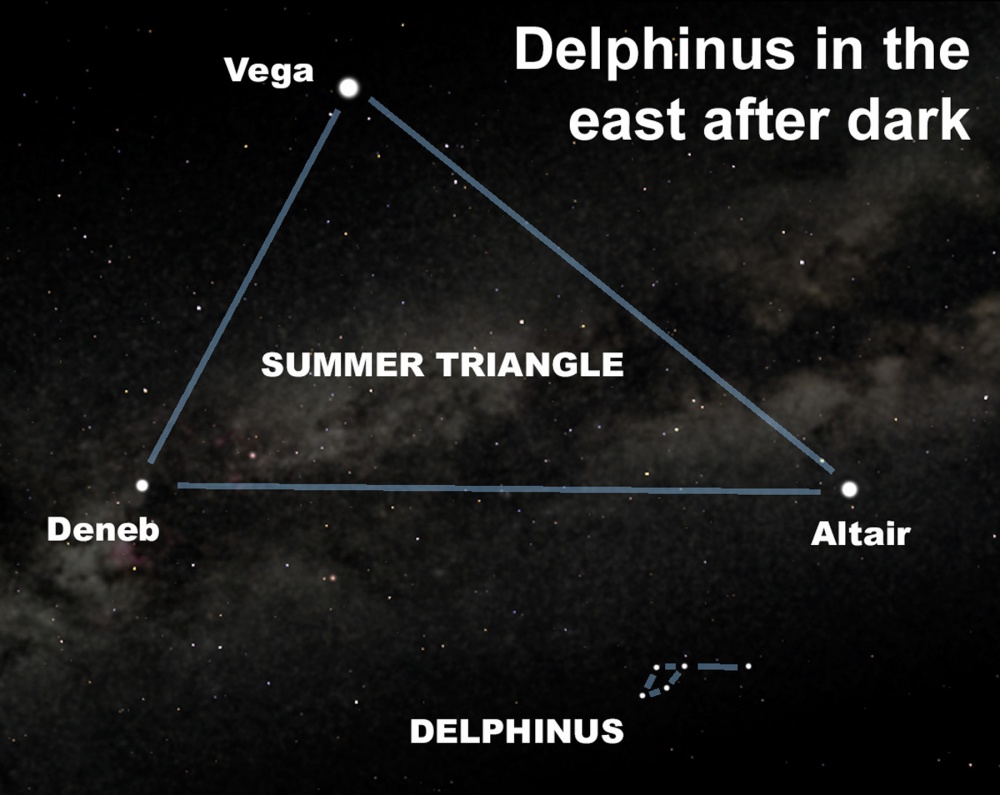Dennis Mammana: Look for a Stellar Dolphin Frolicking in the Sky ...