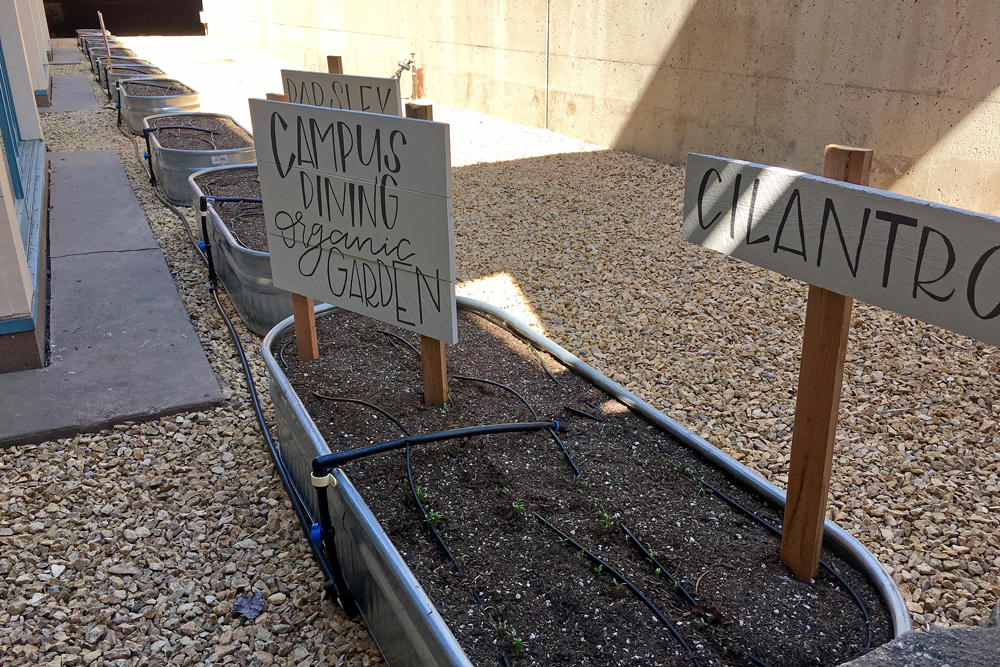 UCSB’s Green Initiative Fund Continues to Build Sustainability Projects ...