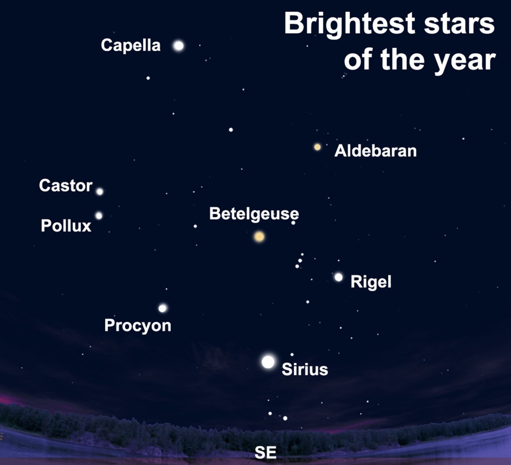 Dennis Mammana: January Tees Up the Brightest Stars of the Year ...