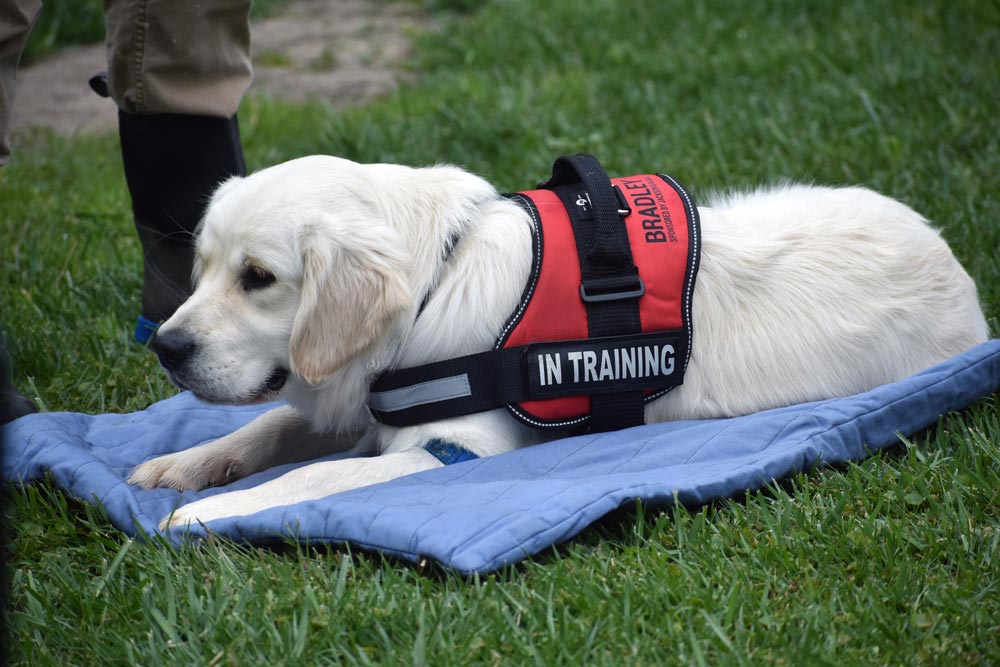 Santa Barbara Zoo Introduces New Furry Animal Ambassador | Local News ...