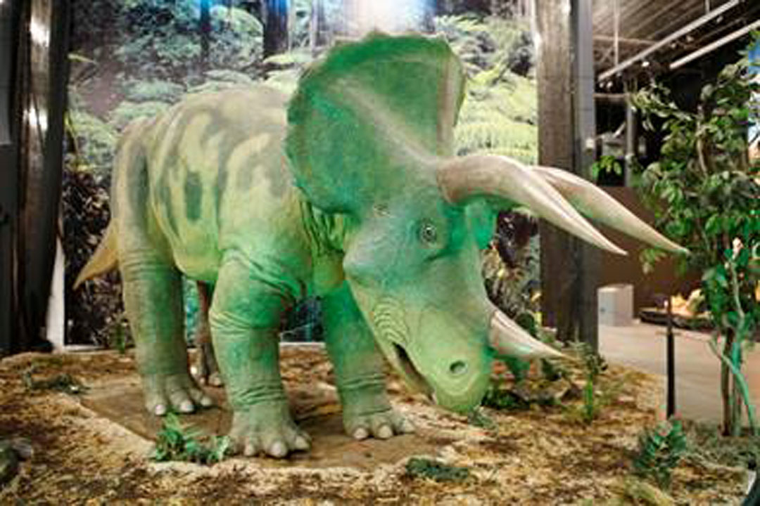 Butterflies Alive! and Prehistoric Forest Summering at Museum of ...