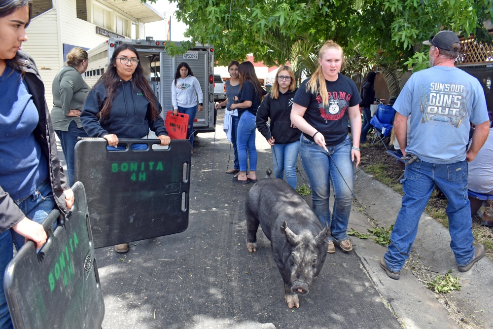 Santa Barbara County Fair Ready to ‘Picture the Fun’ for 5 Days | Local ...