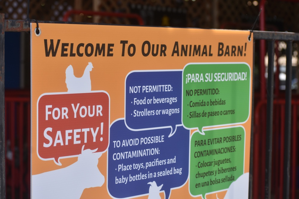 Santa Barbara County Fair Ready to ‘Picture the Fun’ for 5 Days | Local ...