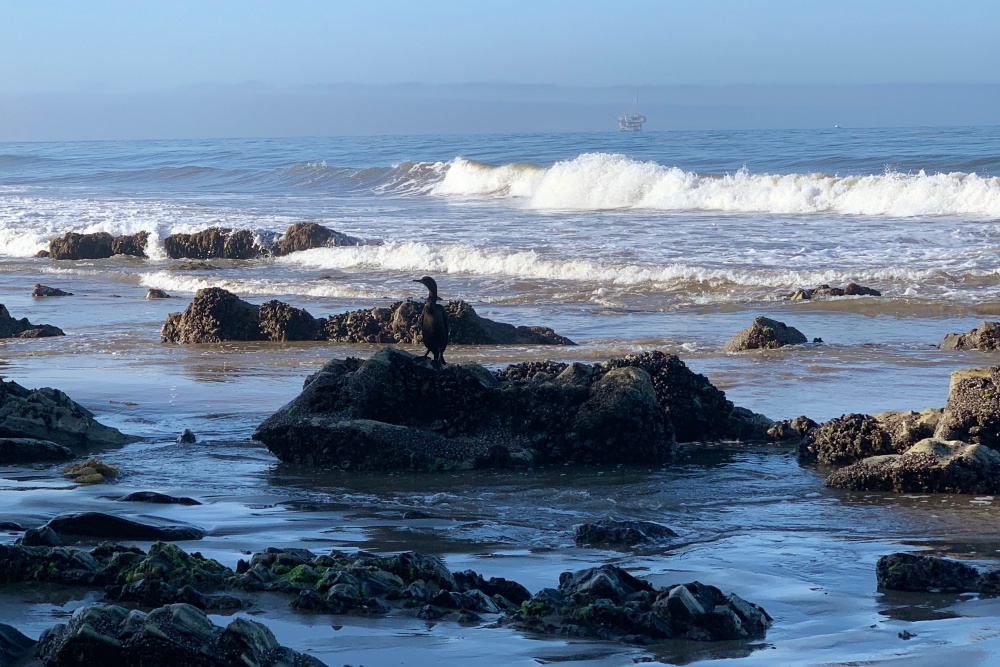 Haskell’s Beach Scene | Photo of the Day | Noozhawk