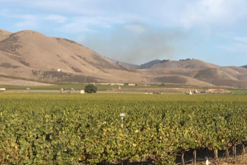 Crews Quickly Tackle 5-Acre Fire Near Tepusquet Road East of Santa ...