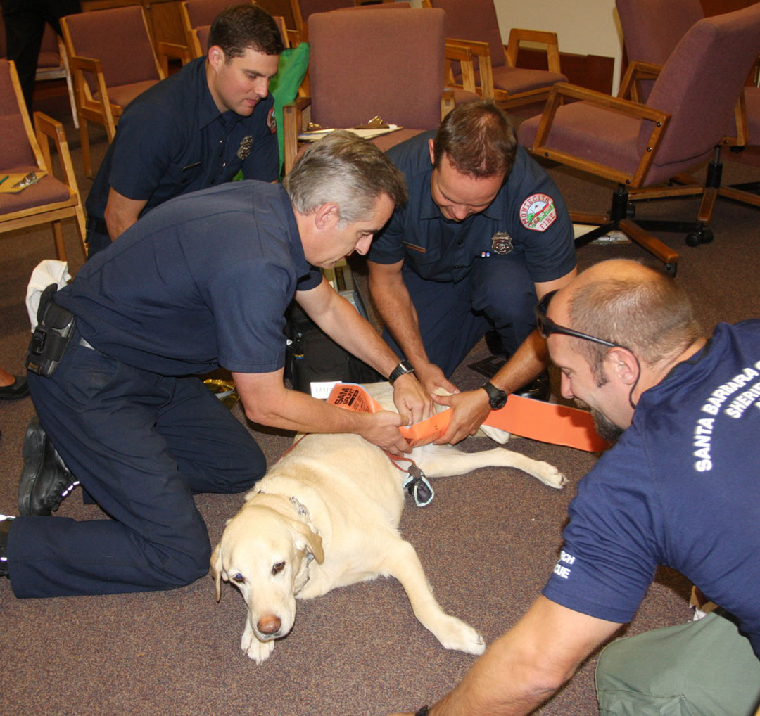 Care4paws Program Will Train First Responders in Emergency Treatment ...