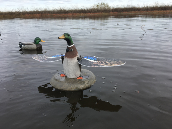 Outdoors Q&A: Using Splashers and Flappers for Duck Hunting | Outdoors ...