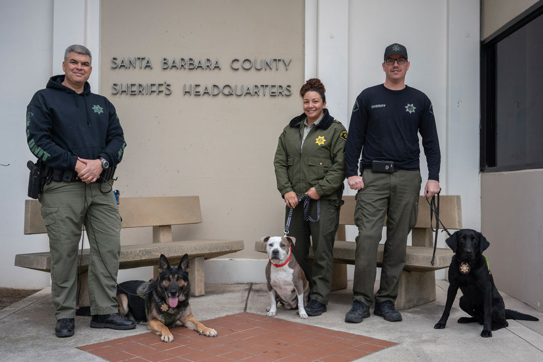 Four Paws Up For Sheriff’s Office K9s Marking Milestones | Local News ...