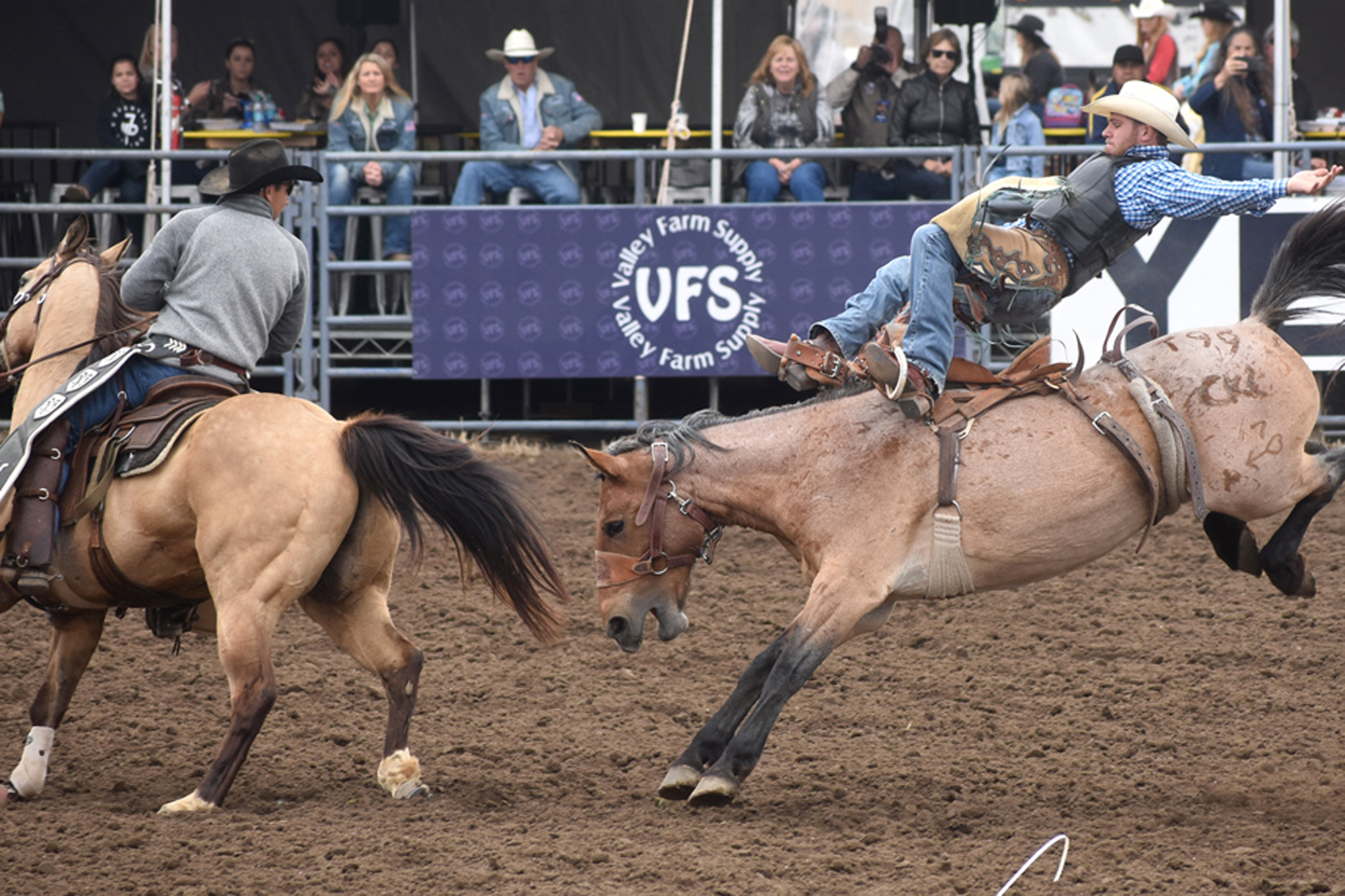 Santa Maria Elks Rodeo Canceled Because of COVID-19; Queen Contest to ...