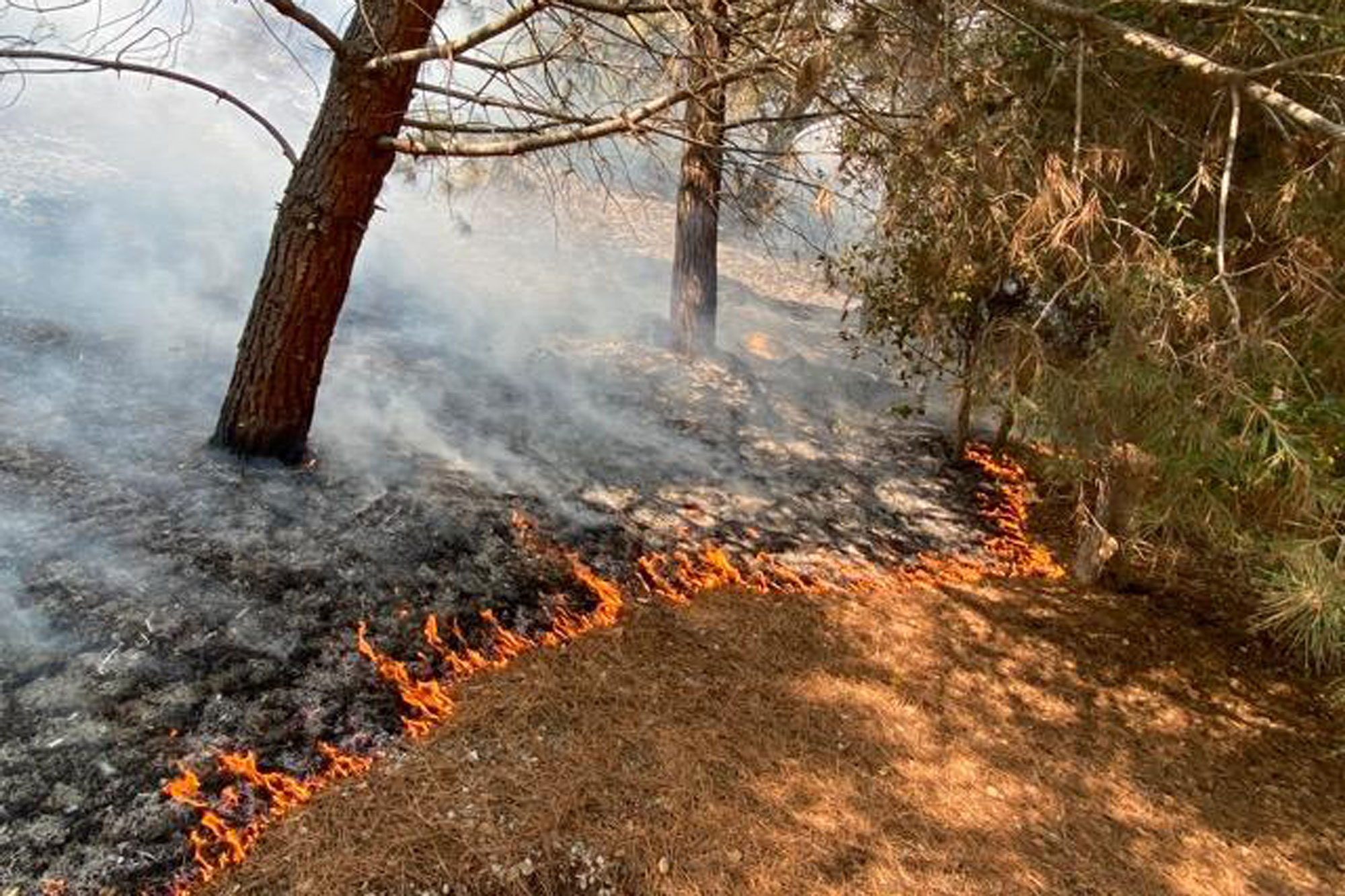 Firefighters Battle Vegetation Fire in Miguelito Canyon Area South of ...