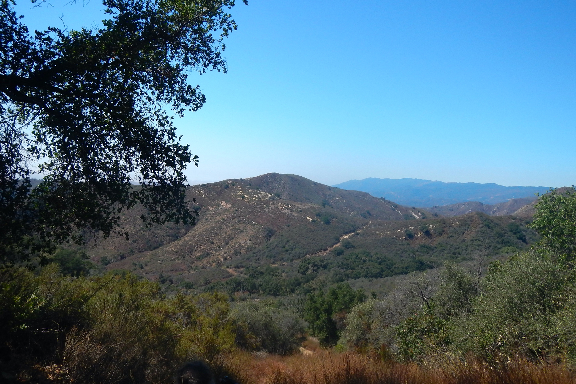 Dan McCaslin: Bill Wallace Trail Rewards Hikers Who Make Its 12-Mile ...