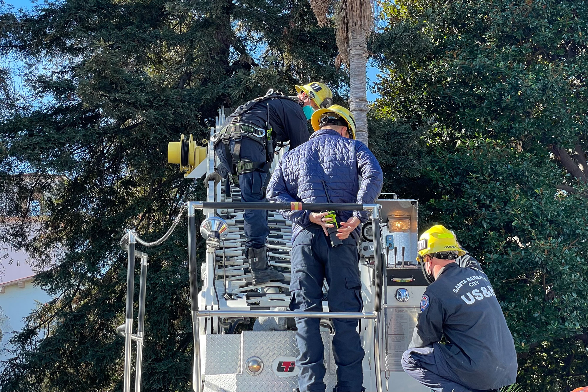 Firefighters Help Rescue Troubled Woman from Tree in Santa Barbara ...