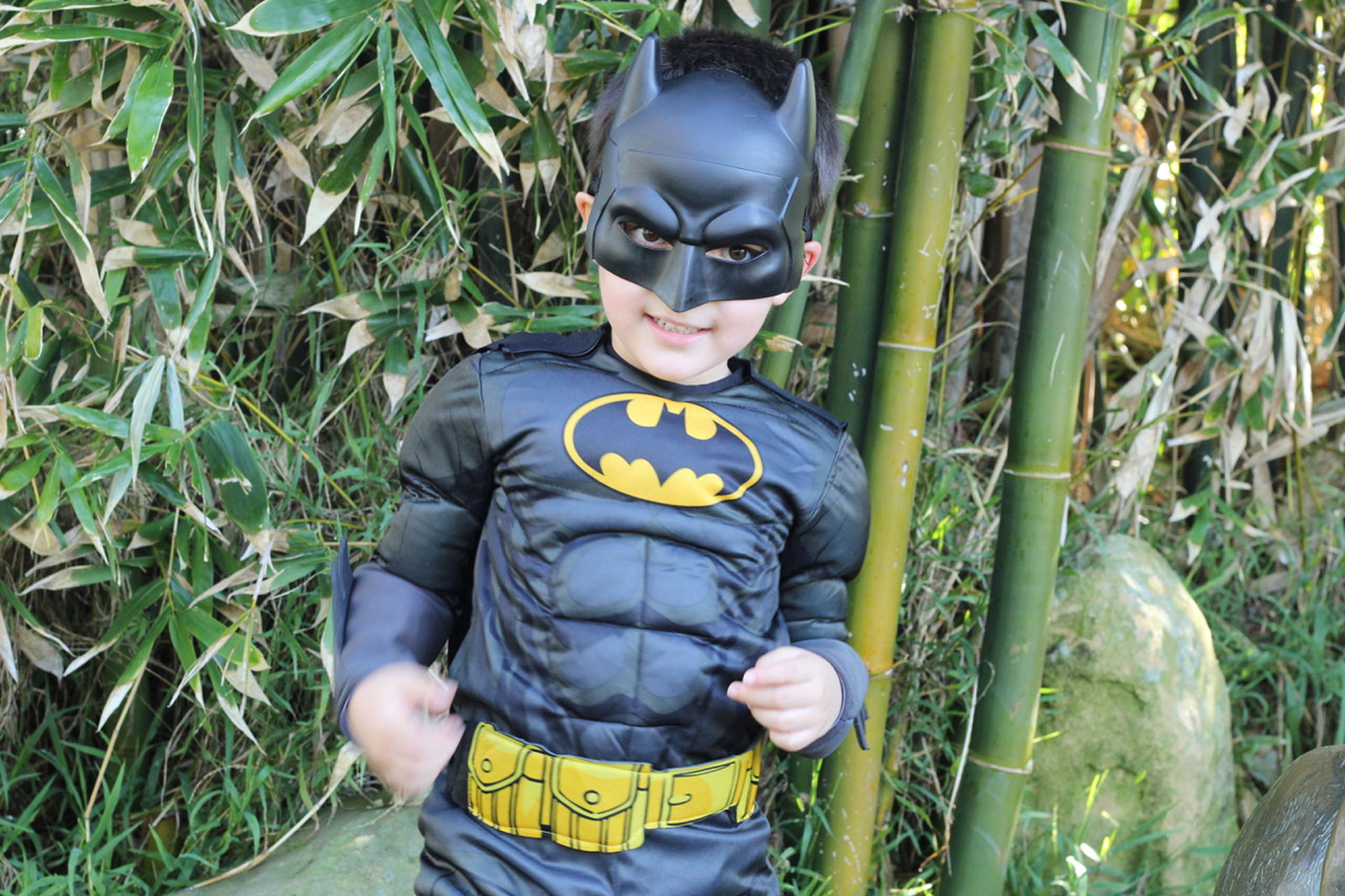 ‘Zooper Heroes’ Celebrates Human and Animal Super Powers at Santa ...