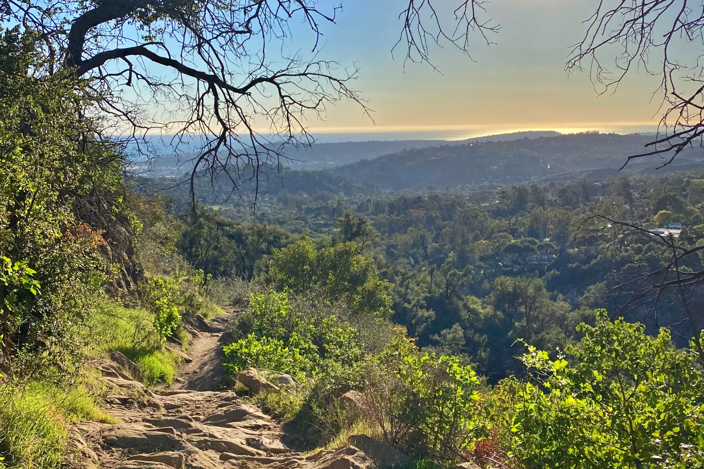 Cold Spring Trail | Photo of the Day | Noozhawk