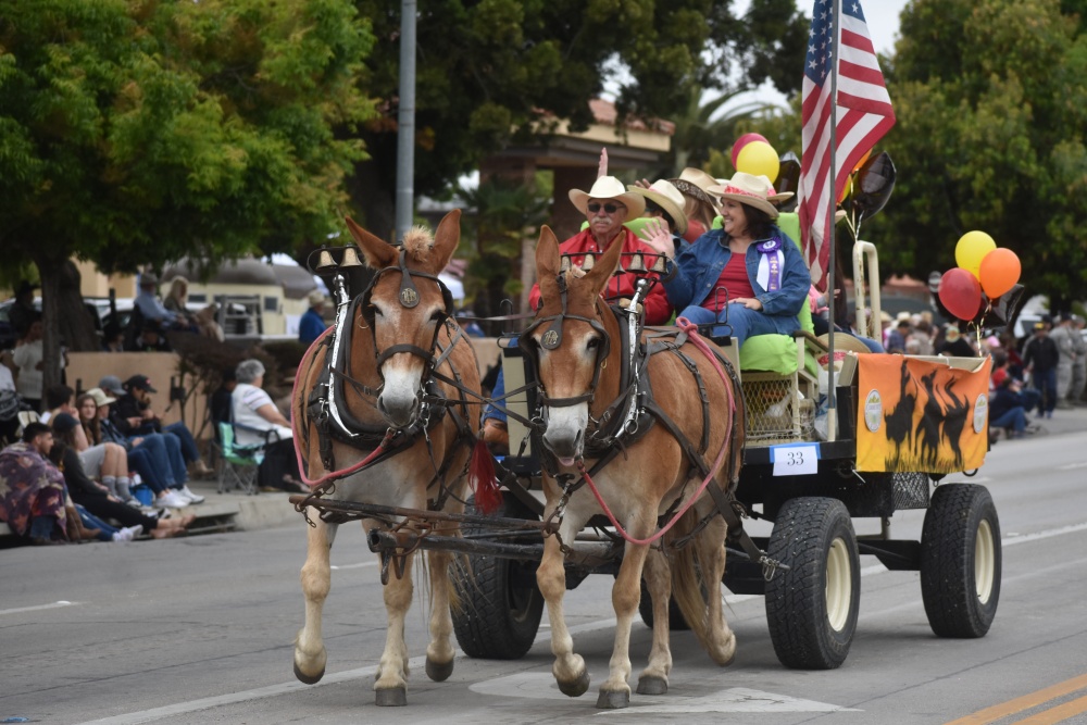 Santa Maria Elks Rodeo Moves to Labor Day Weekend for 2021 | Local News ...